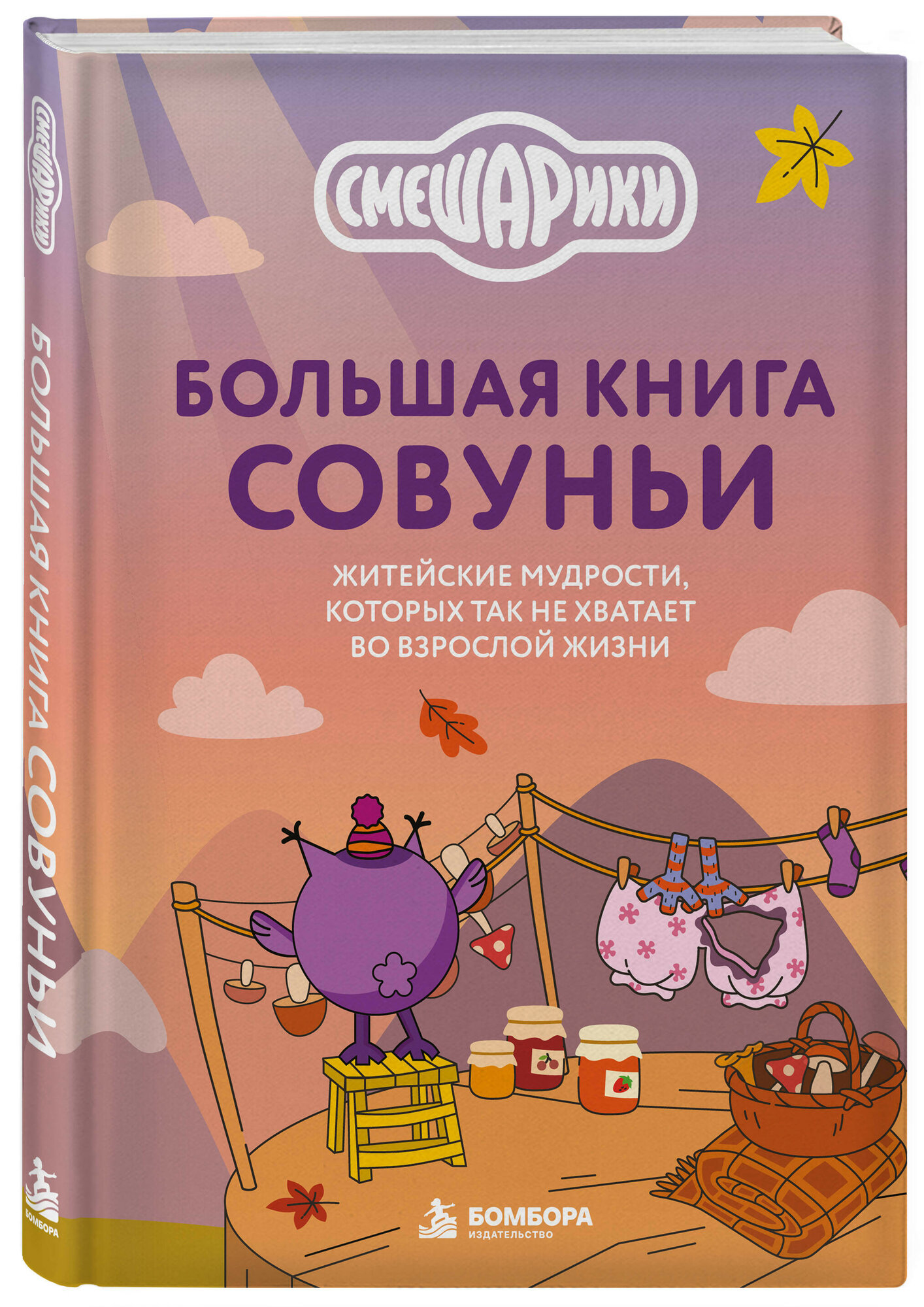 Большая книга Совуньи: Житейские мудрости, которых так не хватает во взрослой жизни