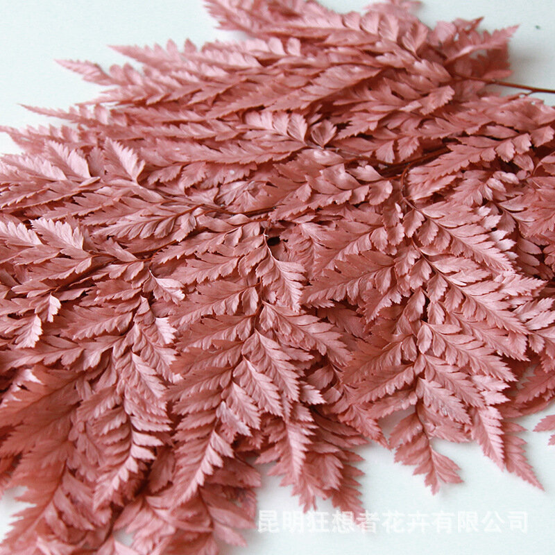 Набор для творчества Fancy "Рапсодия", засушенный цветок, листья овечьего зуба