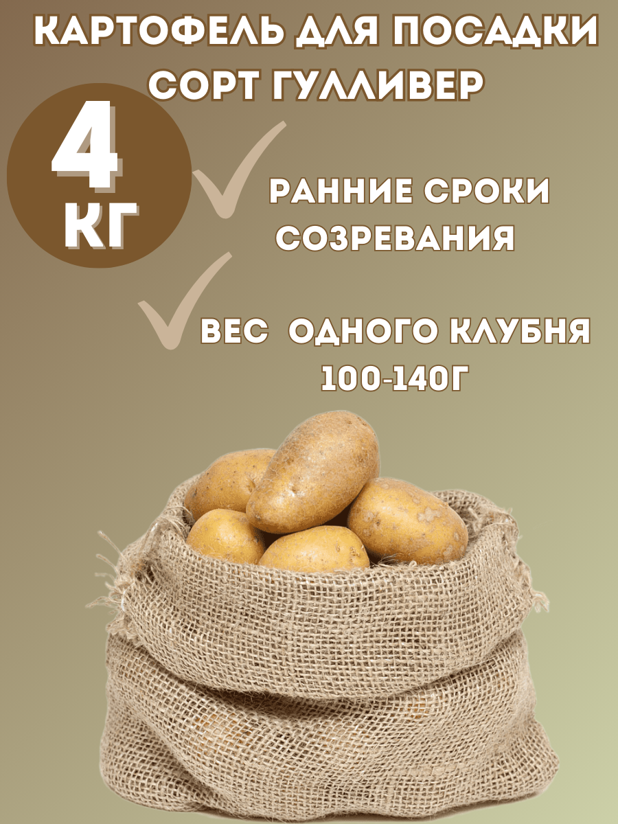 Картофель семенной "Гулливер"