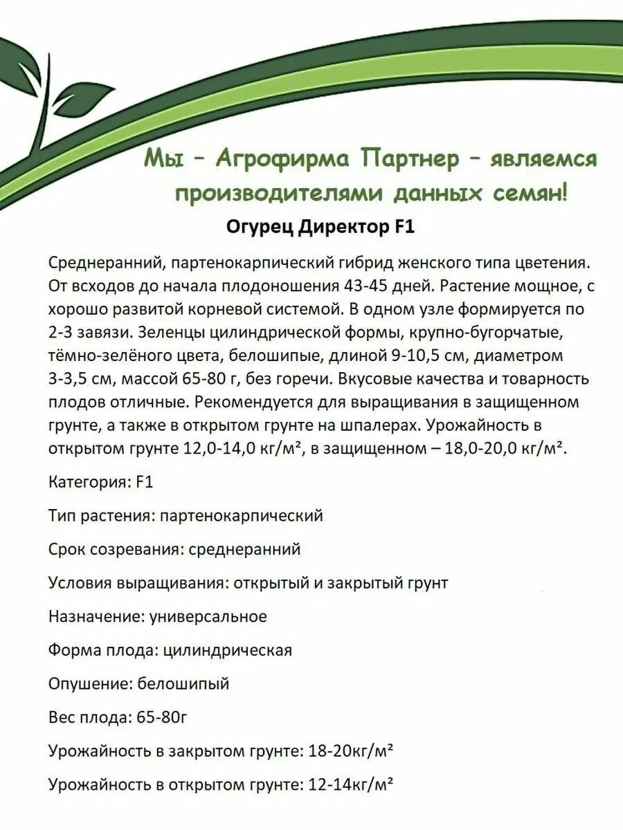 Семена огурцов Директор, Агрофирма Партнер — фото 1