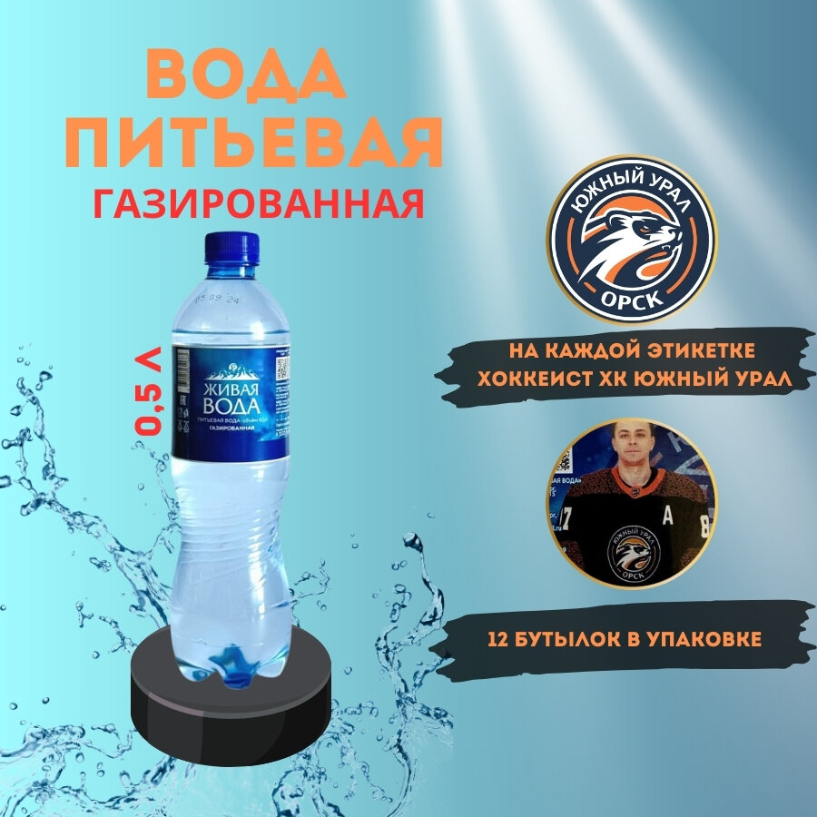 Вода питьевая газированная 0,5 л х 12 шт.