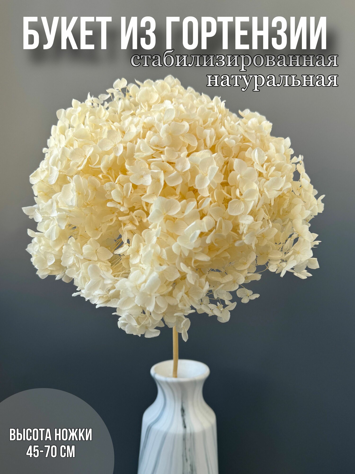 Гортензия стабилизированная сухоцветы для декора