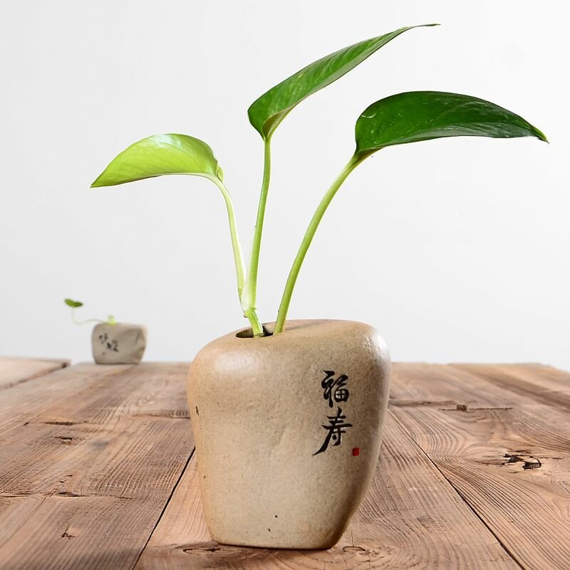 Керамическая ваза в форме камня, грубая керамика, маленькая ваза, зен-орнамент, маленький декор, гидропонный цветочный горшок для свежих цветов