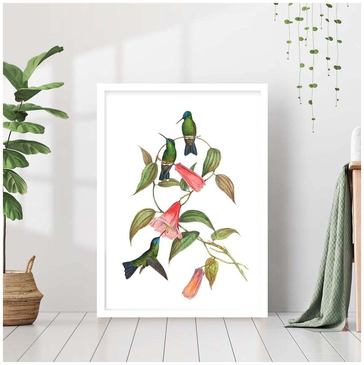 Постер "Птицы Колибри на ветке" 40x50 в белой рамке на стену для интерьера