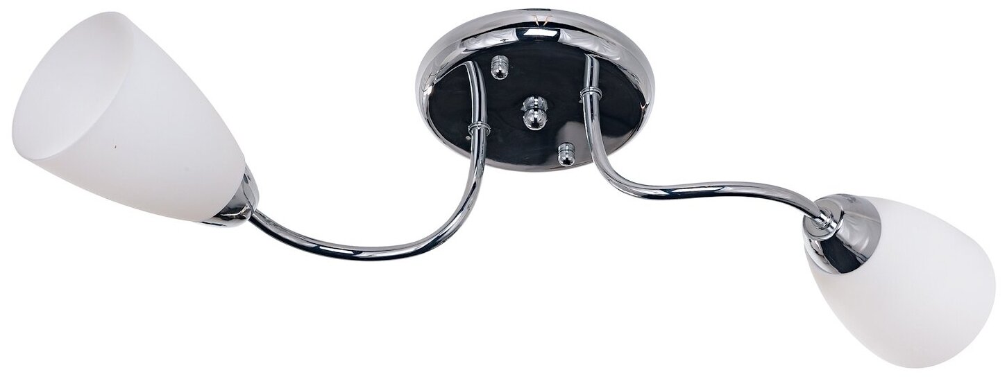 Потолочный светильник 50785/2CR WT ЭкономСвет