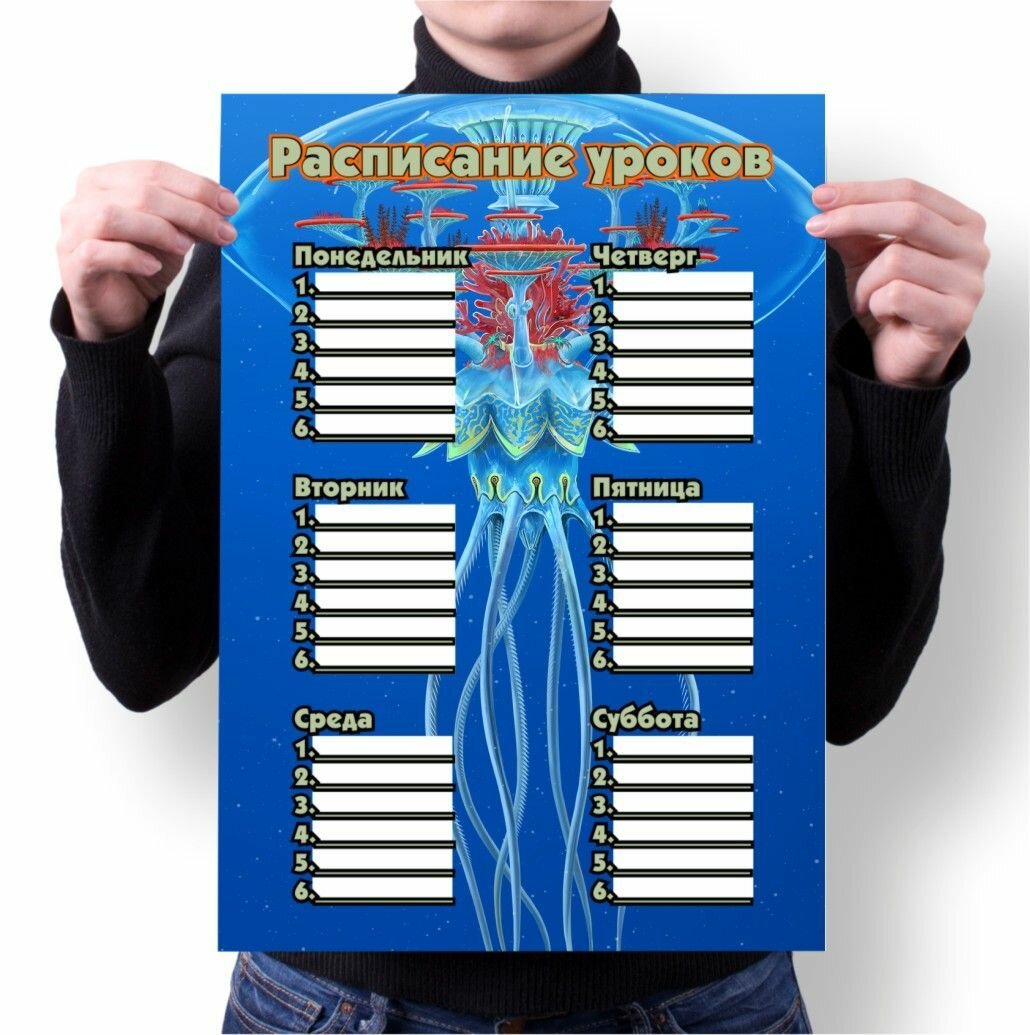 Расписание уроков с принтом А4 "Сабнатика", Subnautica