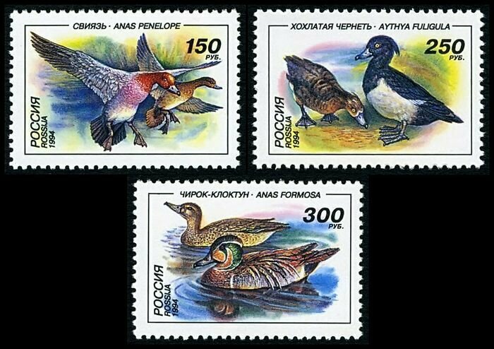 Почтовые марки России. 1994 год. № 170-172. Фауна. Утки. Серия из 3 марок