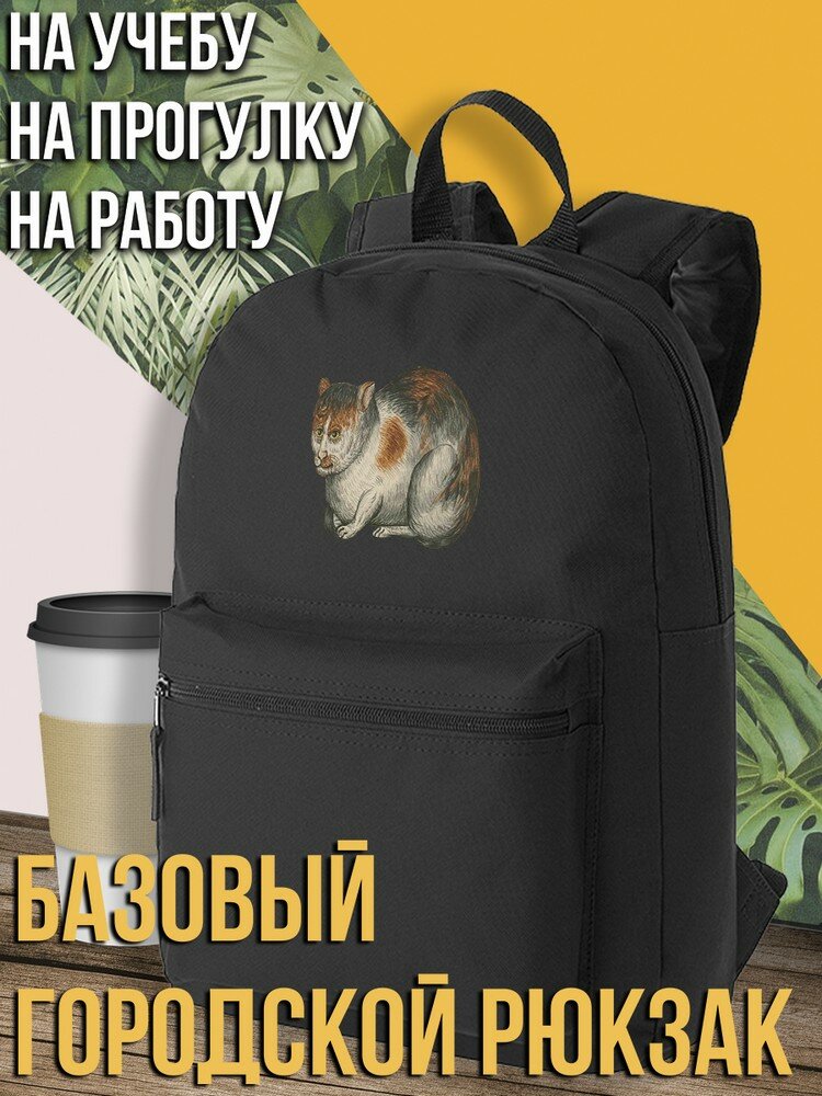 Черный школьный рюкзак с DTF печатью эстетика Средневековый кот (странный, животные, мем) - 2704