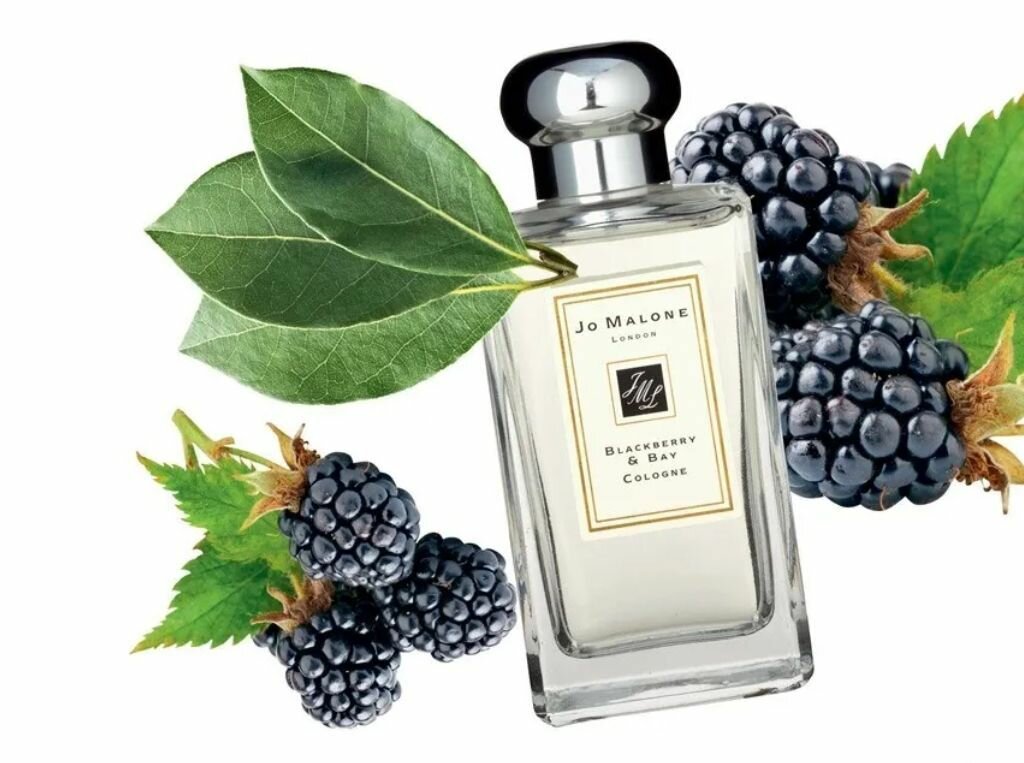 Вода парфюмерная Blackberry & Bay, блекберри духи, черная смородина 100 мл
