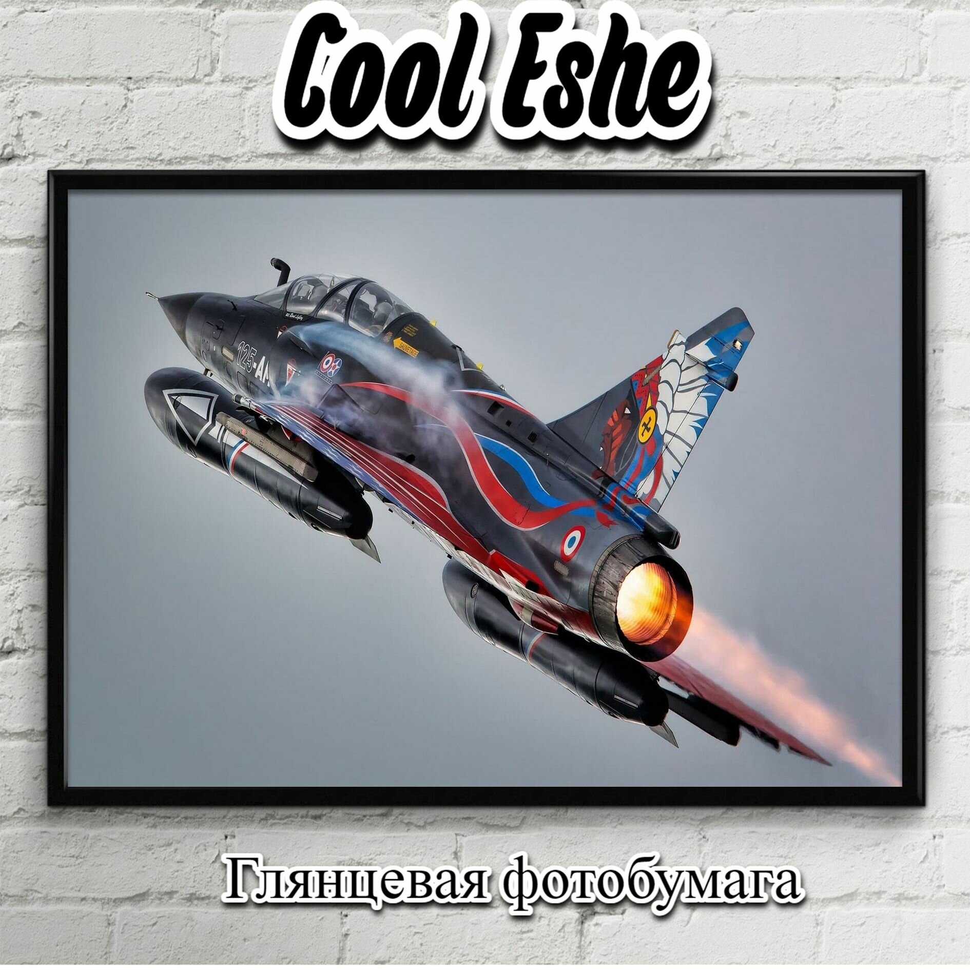 Плакат "Dassault Mirage 2000, французский истребитель-самолет" для интерьера А4