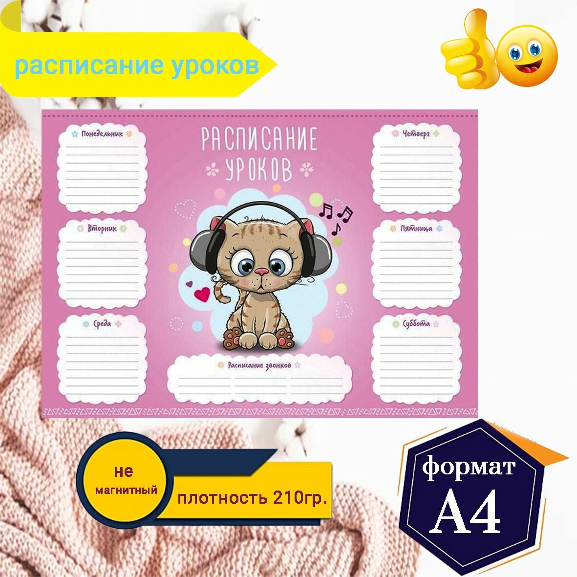 Расписание уроков "Фунтки"