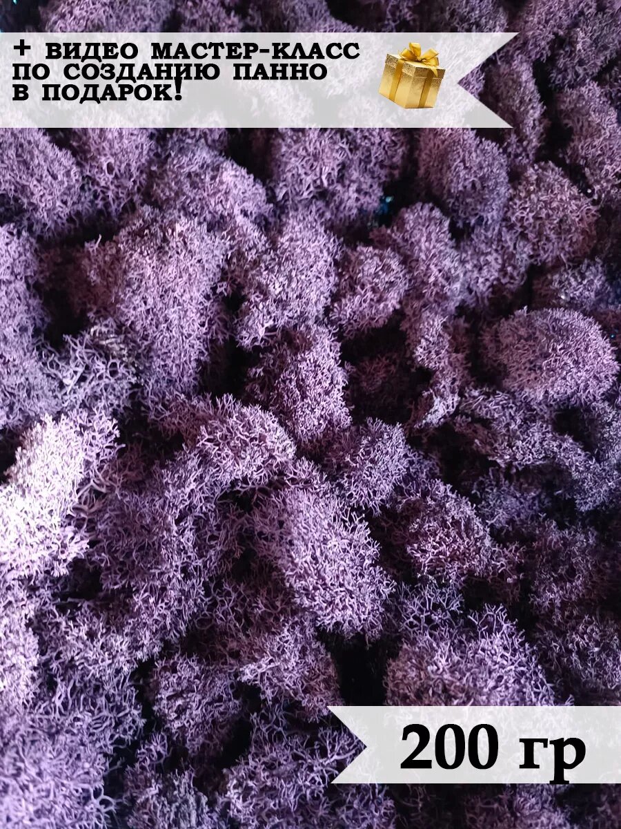 Мох стабилизированный ягель декоративный для озеленения