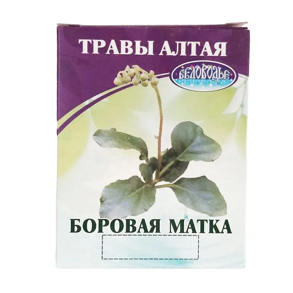 Боровая матка, ортилия однобокая, (Беловодье)