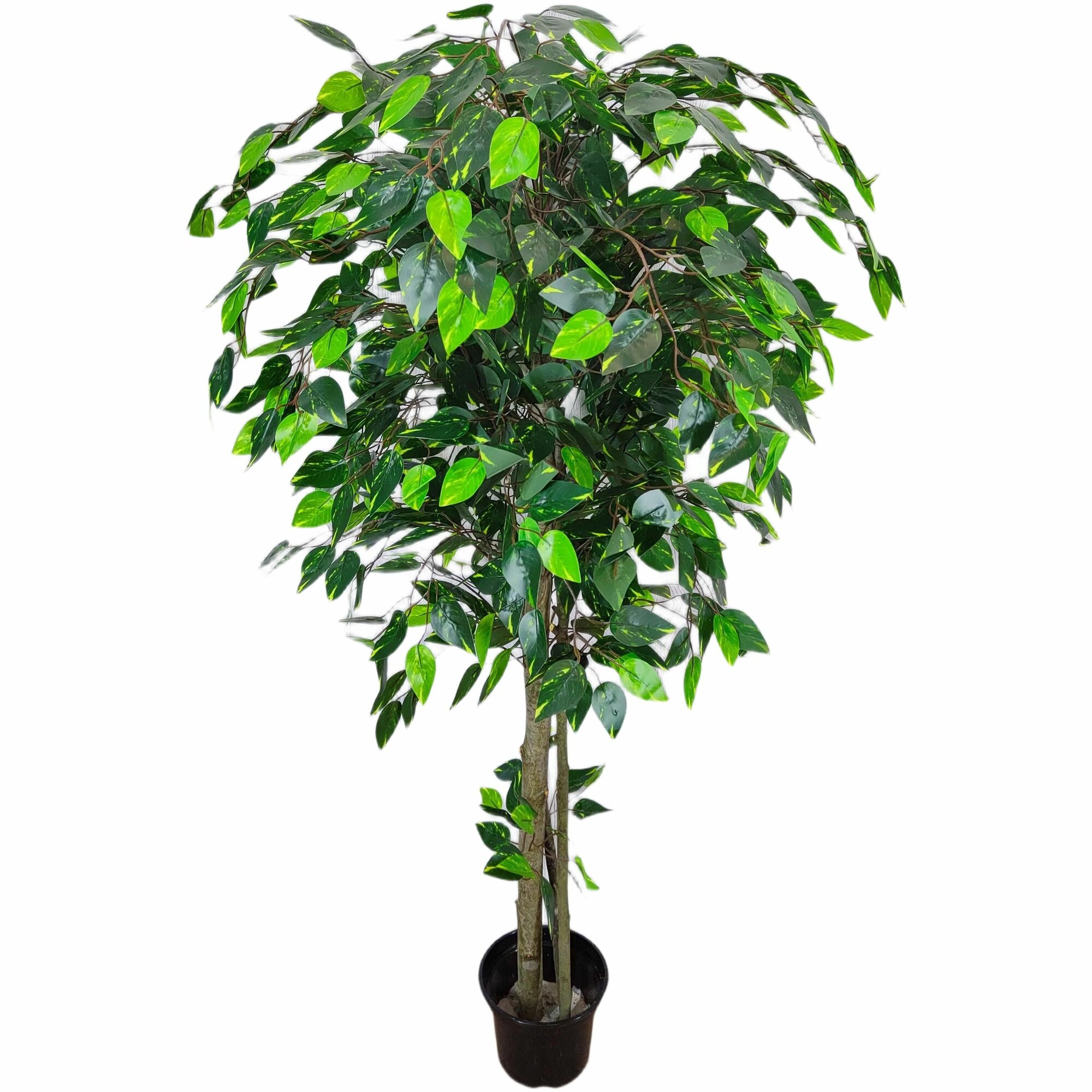 Искусственный Фикус Бенджамина 100 см