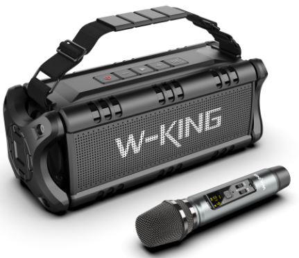 Портативная колонка W-King D8MIC (черный)