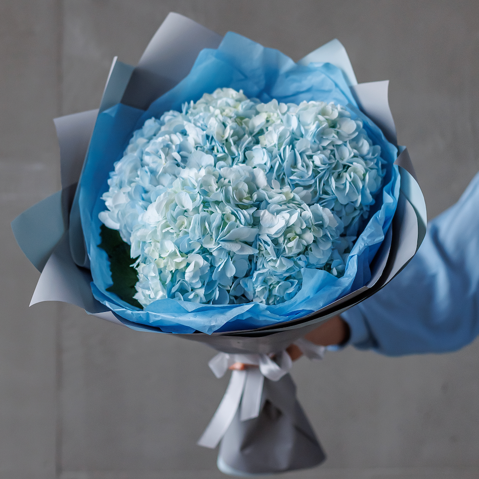 Монобукет "Лунный вечер", гортензии, для разных поводов, в подарочной упаковке