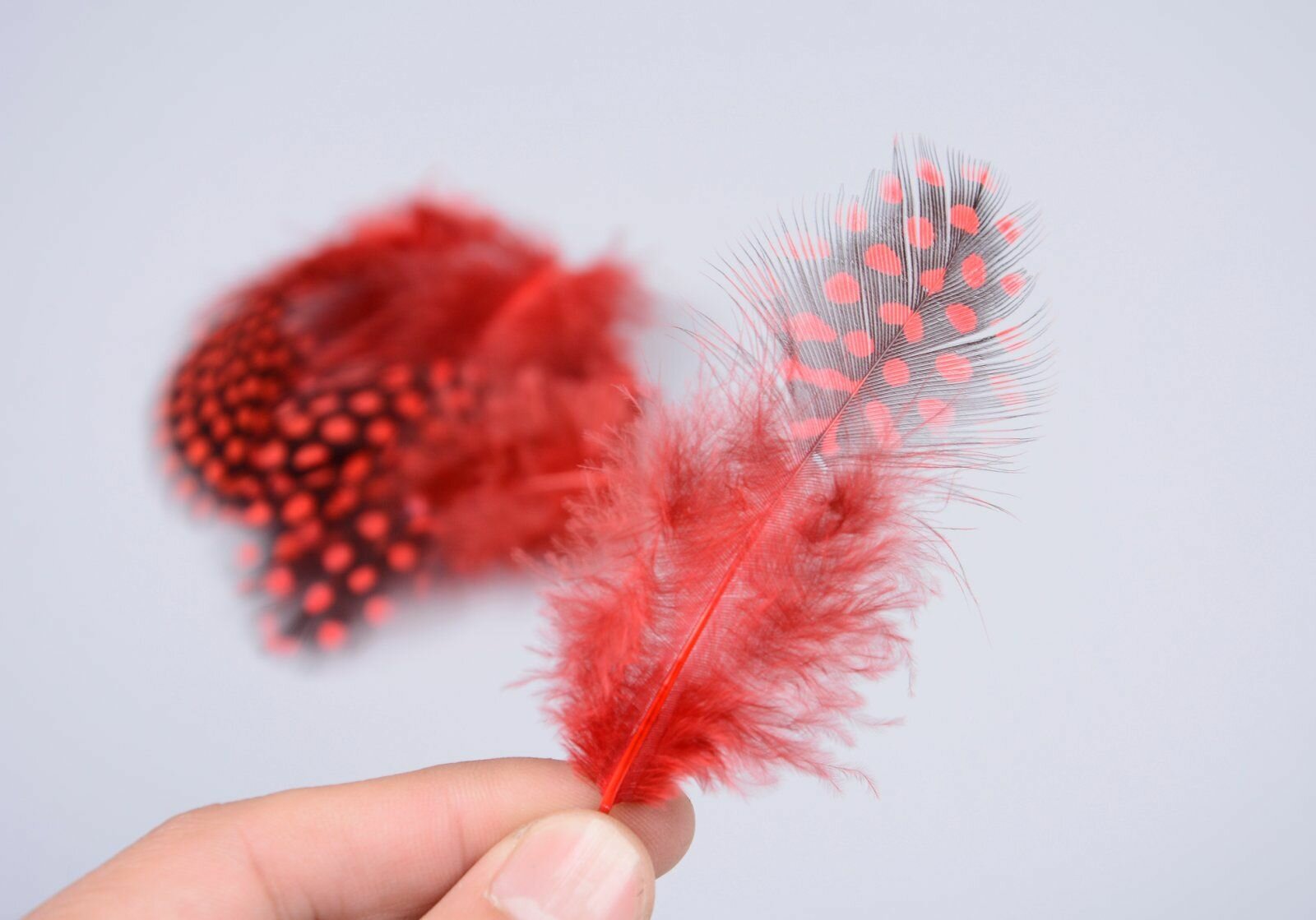 50 натуральных перьев жемчужного цвета для творчества, мягкие куриные перья 5-10 см, экологичные перья для декора, бижутерии и костюмов DIY