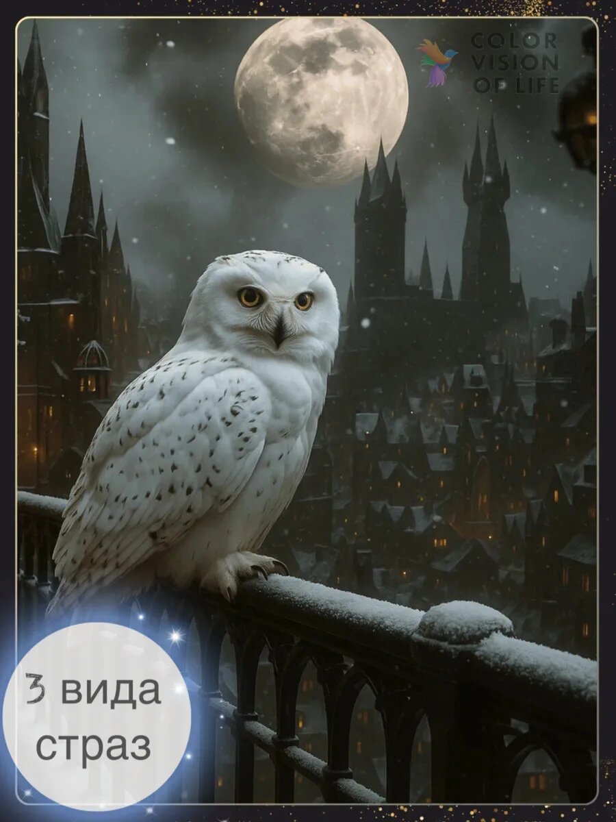 Алмазная мозаика COLOR VISION OF LIFE "Букля", 40x50см, полная выкладка, с 3 видами страз