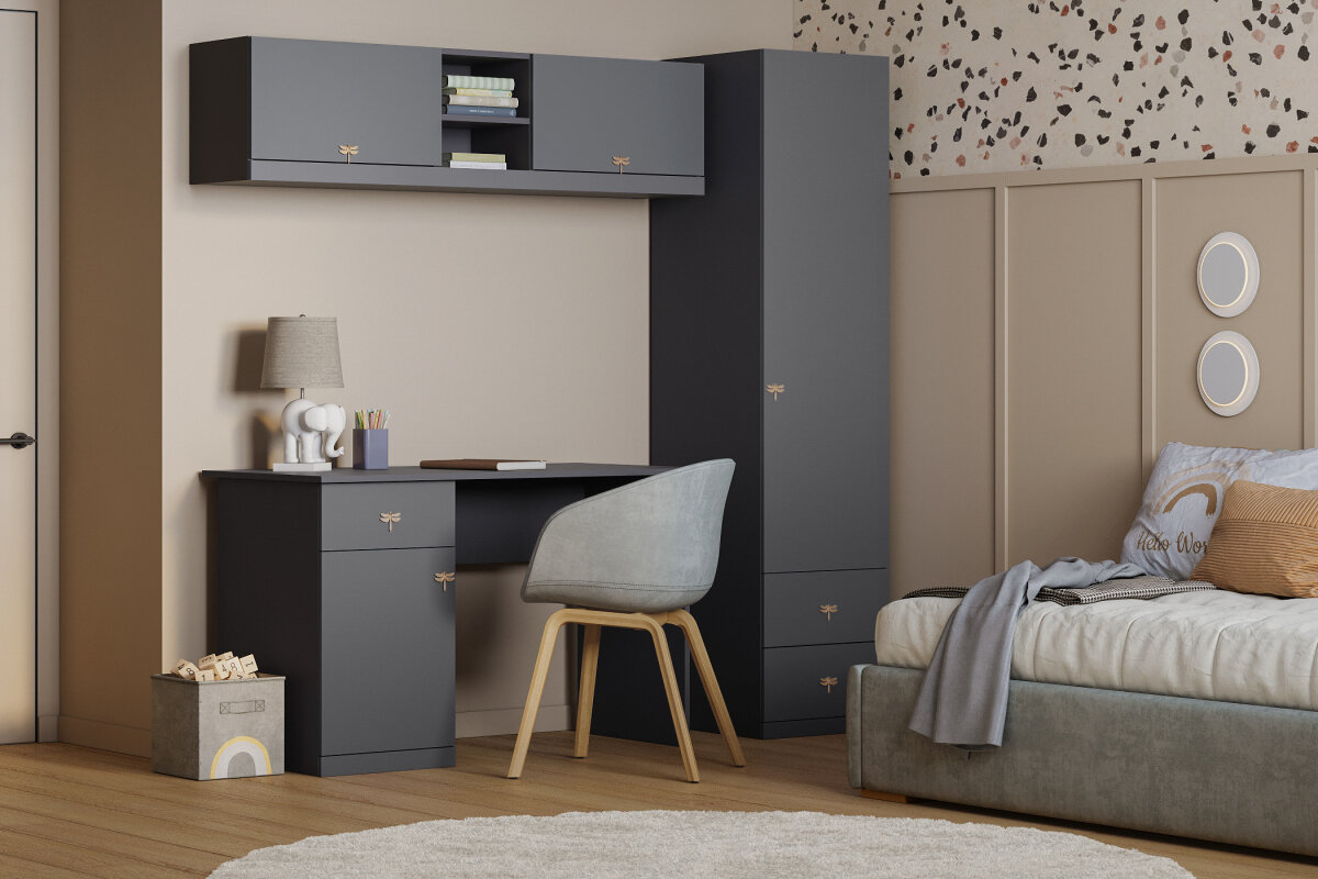 Стенка детская Стрекоза-12 Графит для книг для одежды для посуды 315*210*60