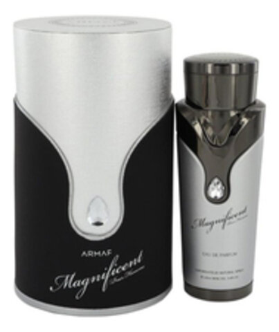 Armaf Magnificent Pour Homme парфюмерная вода 100мл