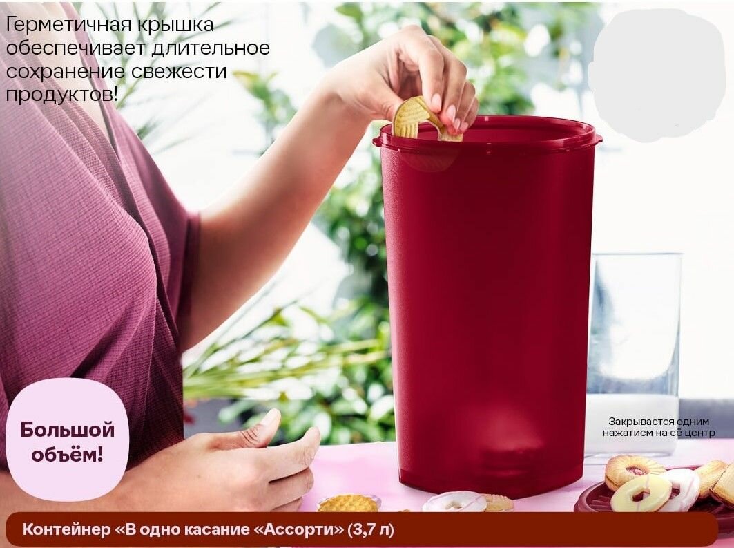 Контейнер "Ассорти" 3.7л бордовый с крышкой , герметичный Tupperware