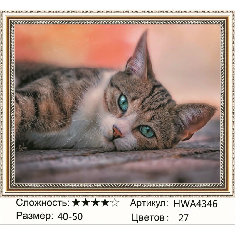 Алмазная мозаика Painting Diamond HWA4346, холст на подрамнике, круглые стразы, 40x50 см