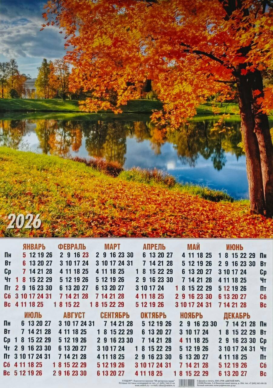 Календарь листовой 2026 год Осенний лес А2 Вэдэм 40