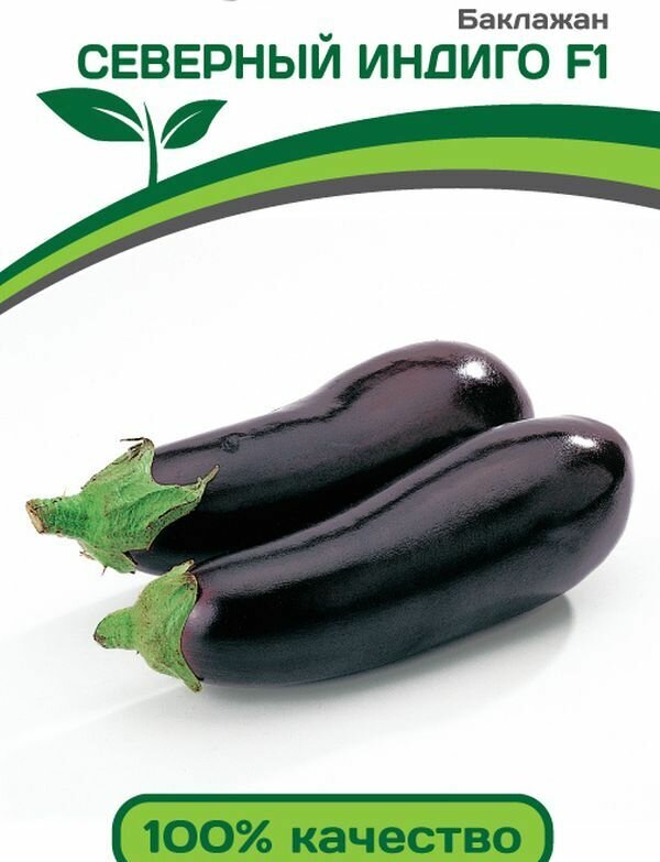 Семена Баклажан северный Индиго F1 10 шт.