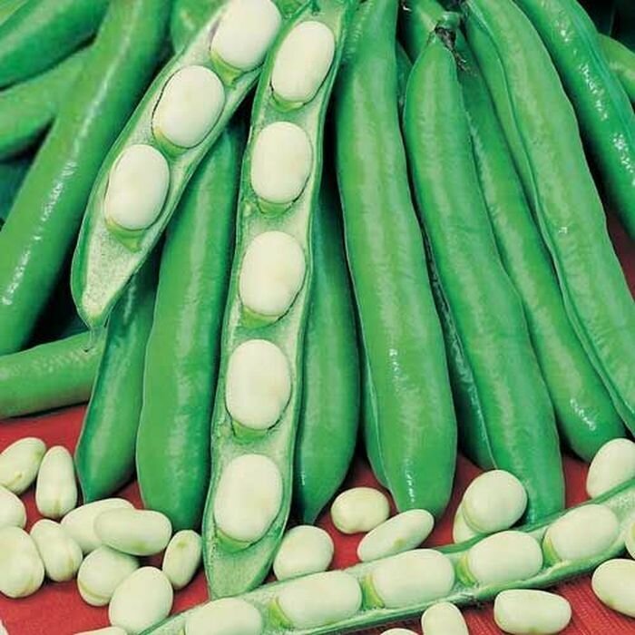 Семена Бобы Царский урожай серия Русский богатырь 10 шт.