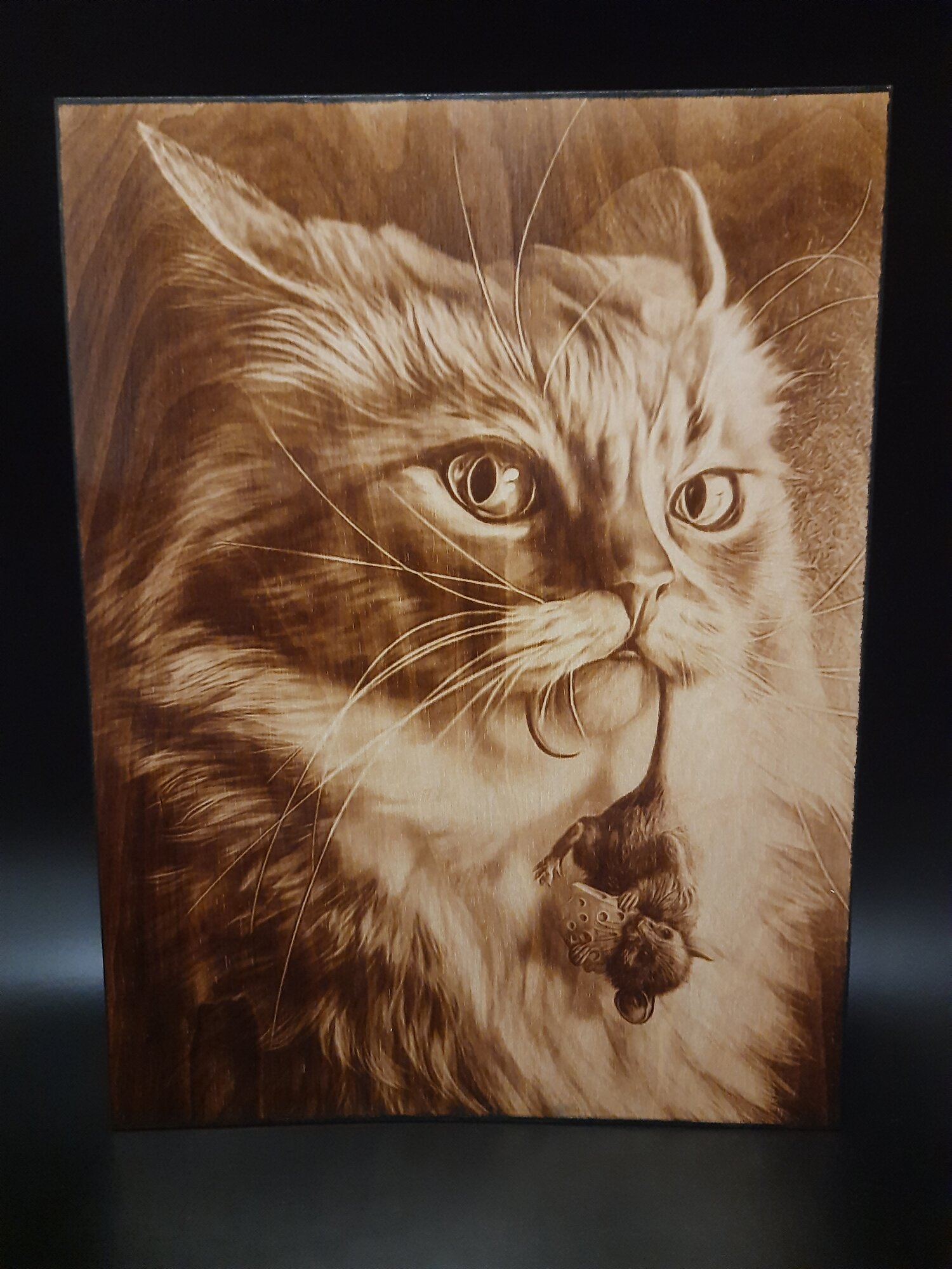 Картина интерьерная " Кот мышелов" формат А3 30×40 см выжженная картина на дереве