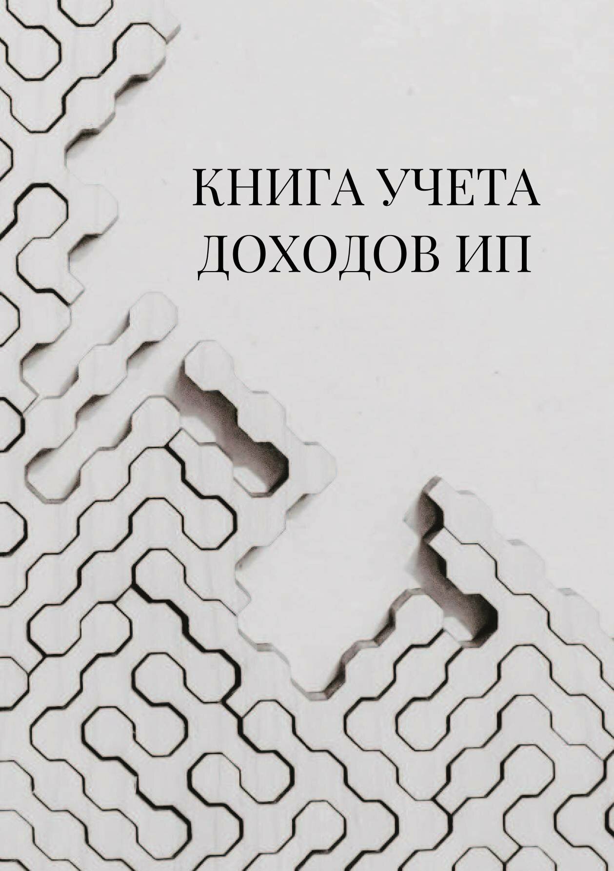 Книга учета доходов для ИП на патенте