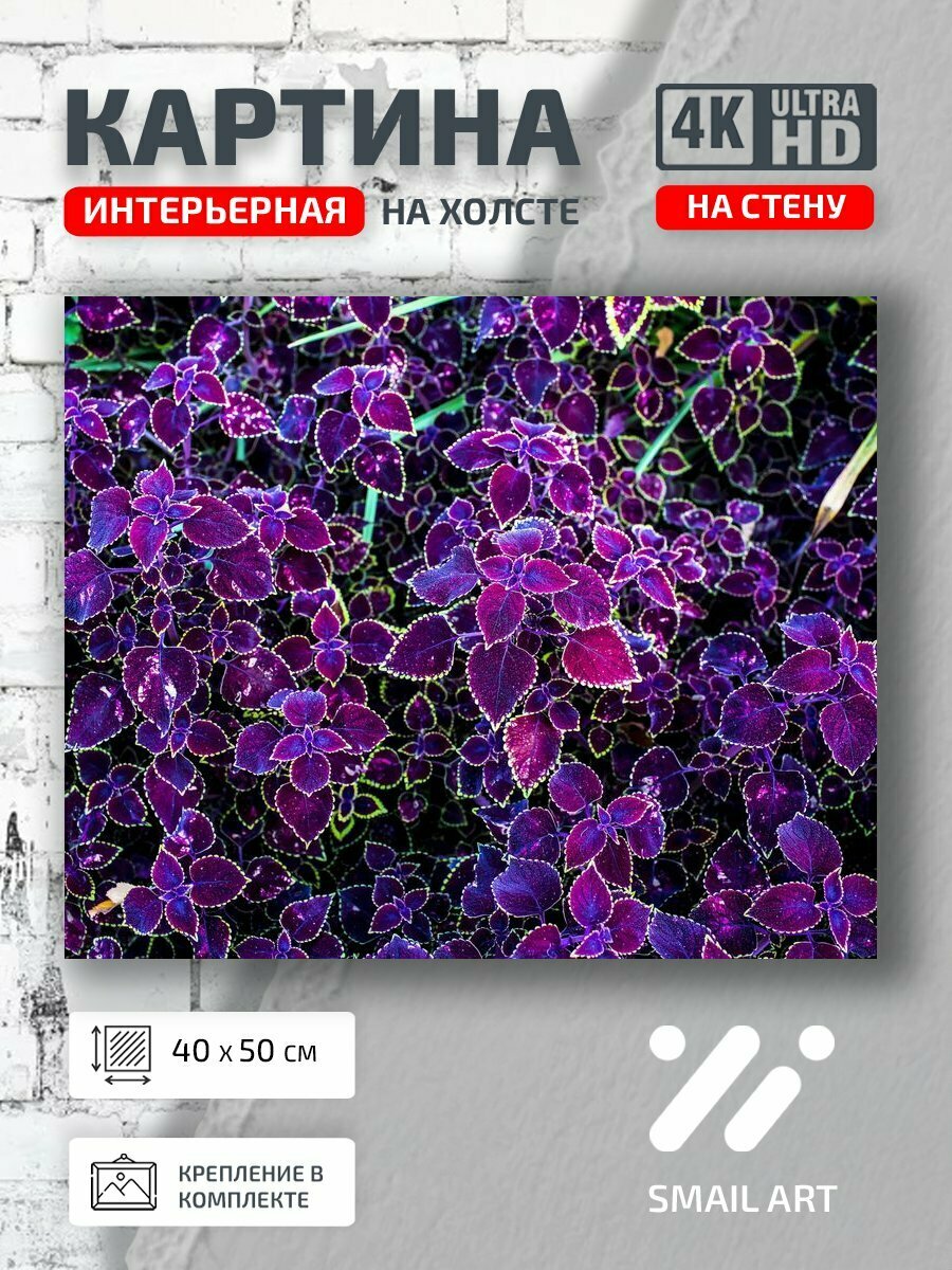 Картина на холсте интерьерная 40 на 50 на стену Фиолетовые Mood для кабинета атмосфера
