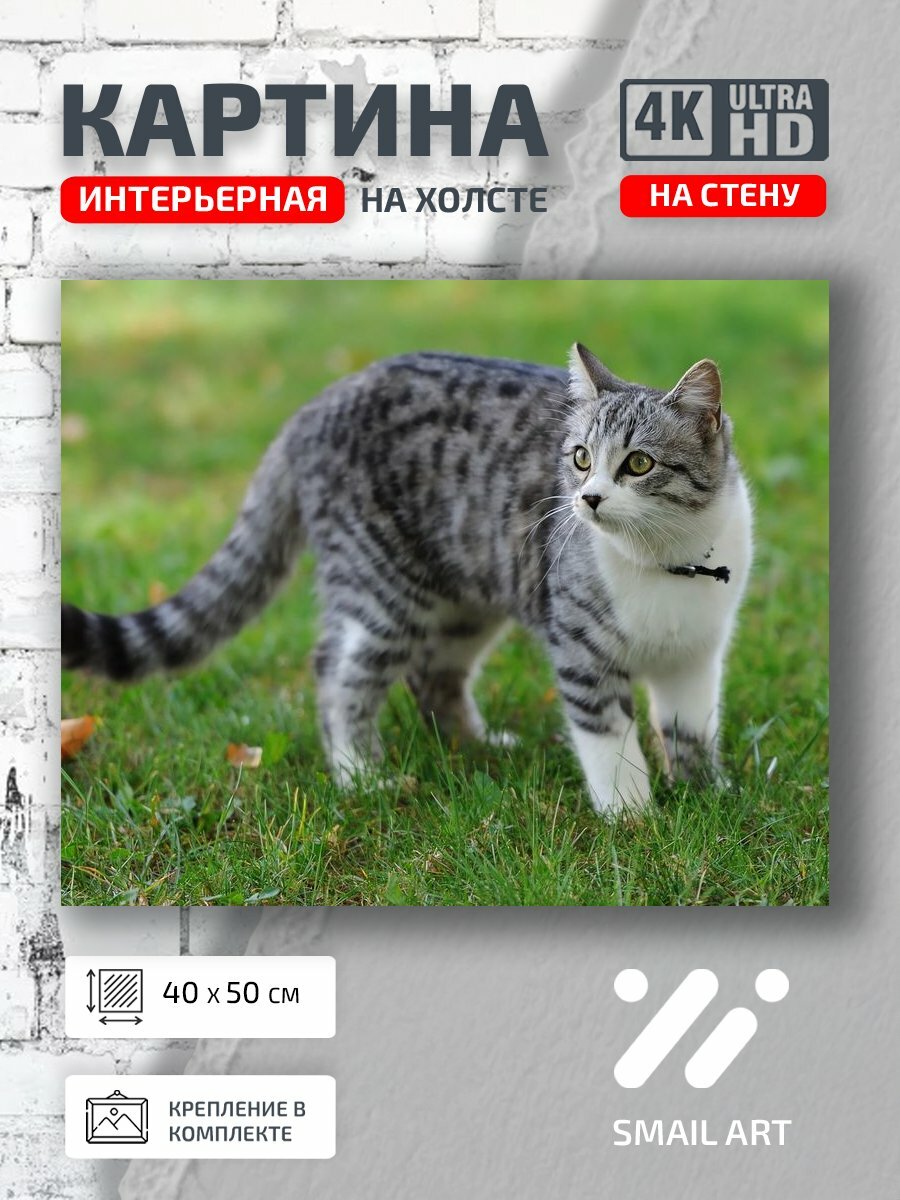 Картина на холсте интерьерная 40 на 50 на стену Трава Landscape для кафе пейзаж интерьер