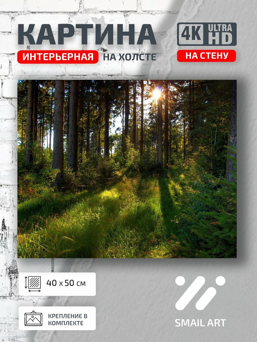 Картина на холсте интерьерная 40 на 50 на стену Деревья Landscape для кафе пейзаж интерьер