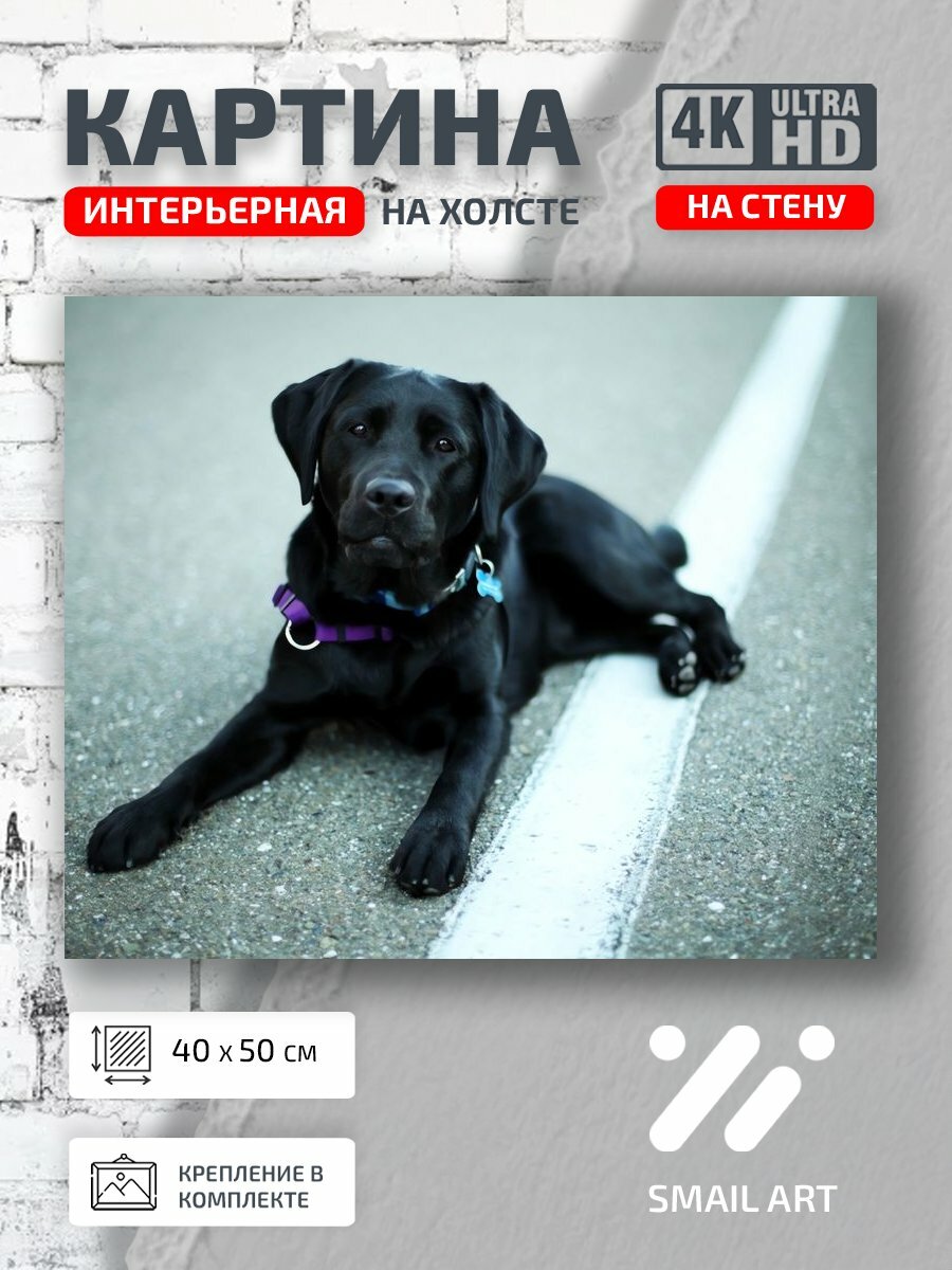 Картина на холсте интерьерная 40 на 50 на стену Полоса Animal для гостиной animal style