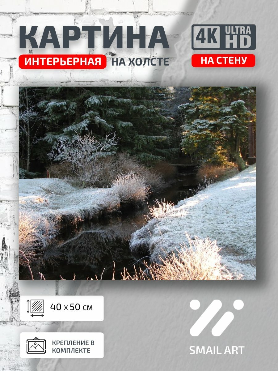 Картина на холсте интерьерная 40 на 50 на стену Иней river для спальни пейзаж интерьер
