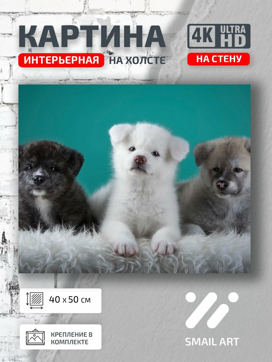 Картина на холсте интерьерная 40 на 50 на стену Щенок Landscape для кафе пейзаж интерьер