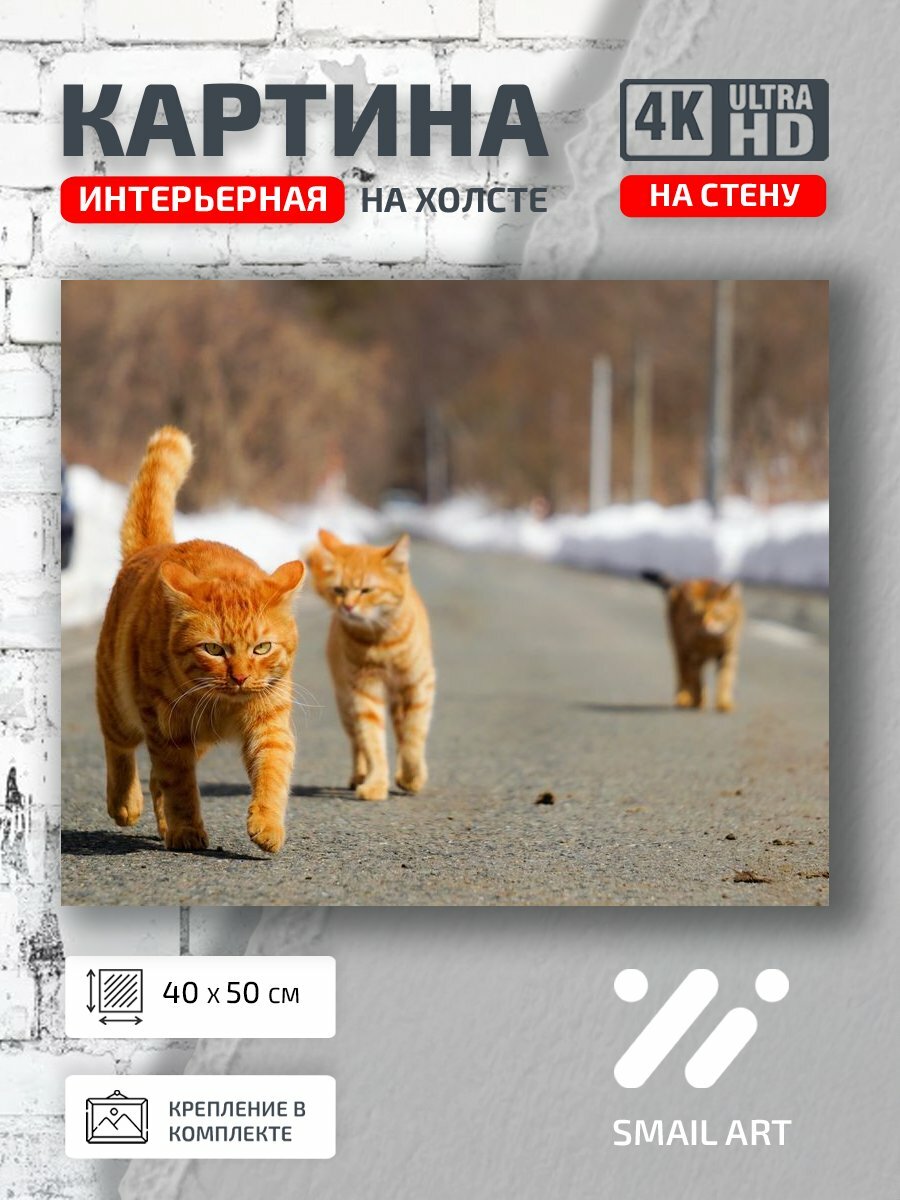 Картина на холсте интерьерная 40 на 50 на стену Кот Animal для гостиной animal style декор