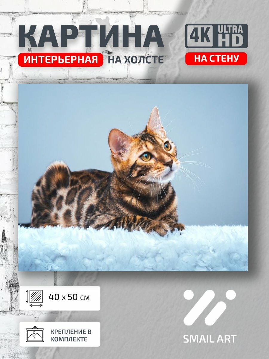 Картина на холсте интерьерная 40 на 50 на стену Кот Landscape для кафе пейзаж интерьер