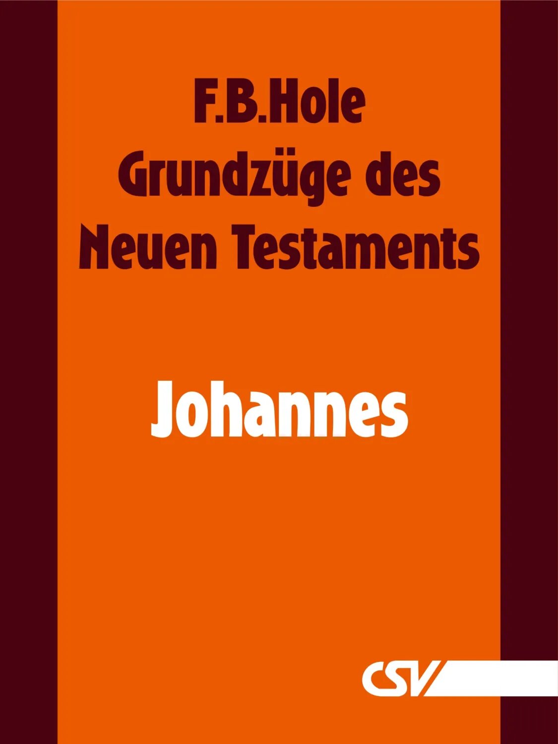 Grundzüge des Neuen Testaments - Johannes [Цифровая книга]