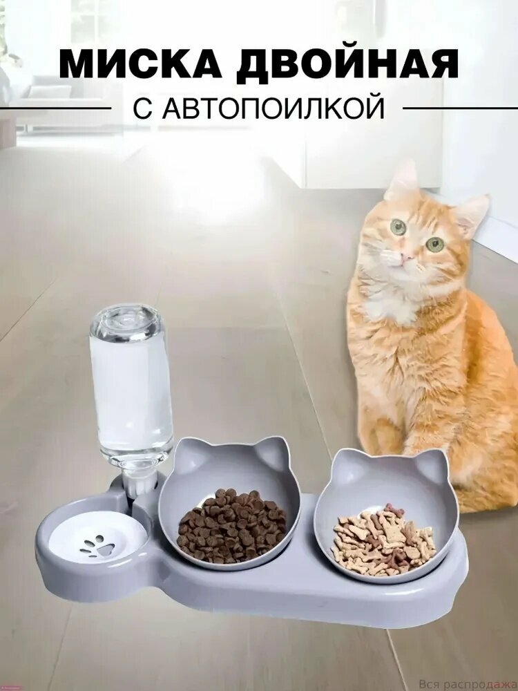 Миска для животных