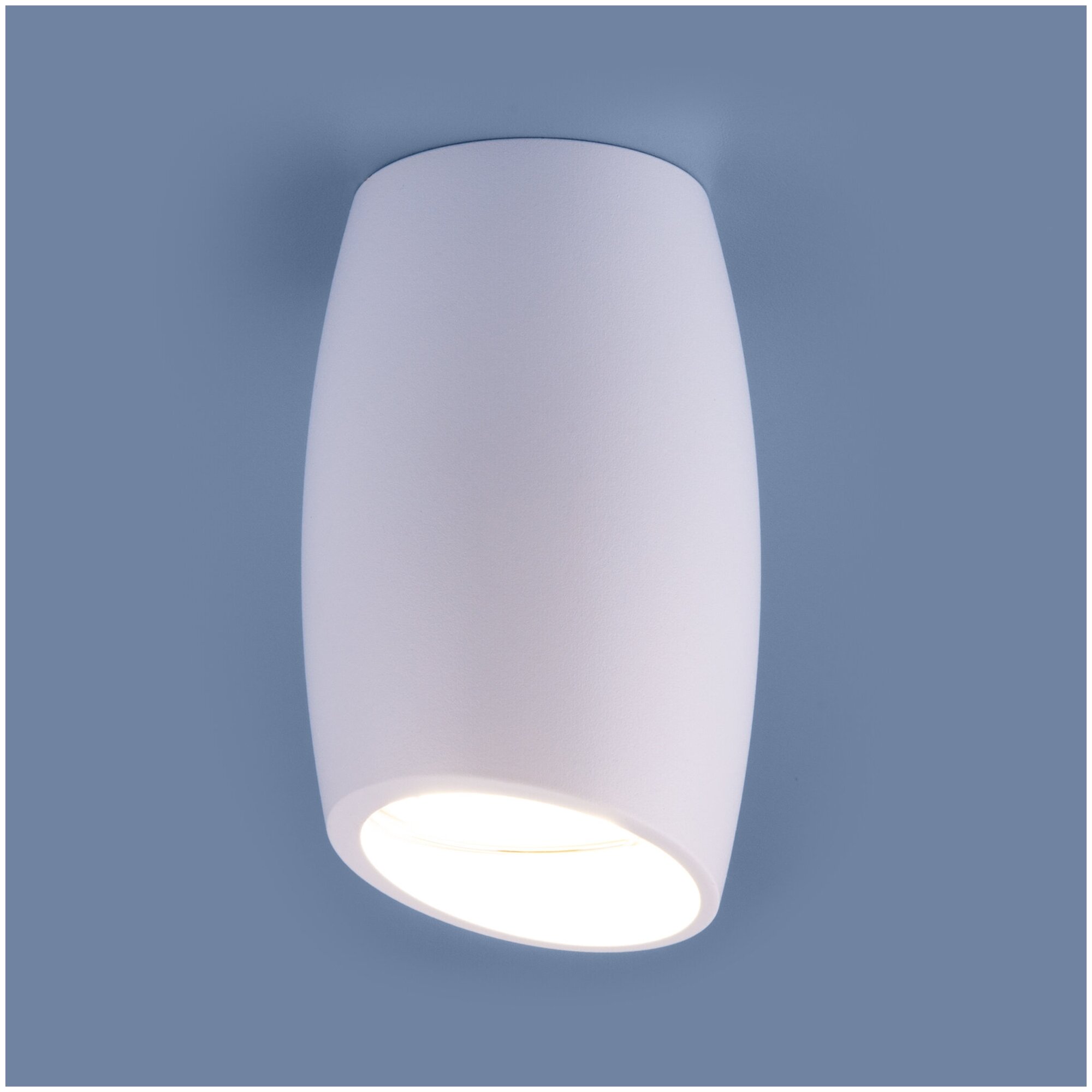 Спот / Накладной потолочный светильник Elektrostandard DLN002 MR16 WH, цвет белый