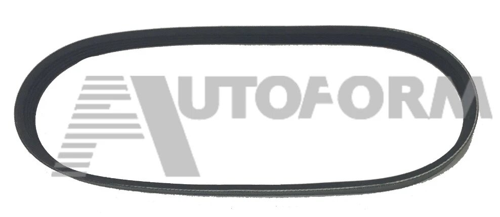 Ремень привода вспомогательных агрегатов (5РК711) Ford Focus 2 1.4/1.6 16 упаковка карт. коробка БРТ