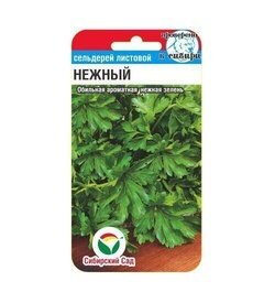Семена Сельдерей Листовой Нежный, Сибирский сад, 0,5 грамма, 1 пакет (зеленый)