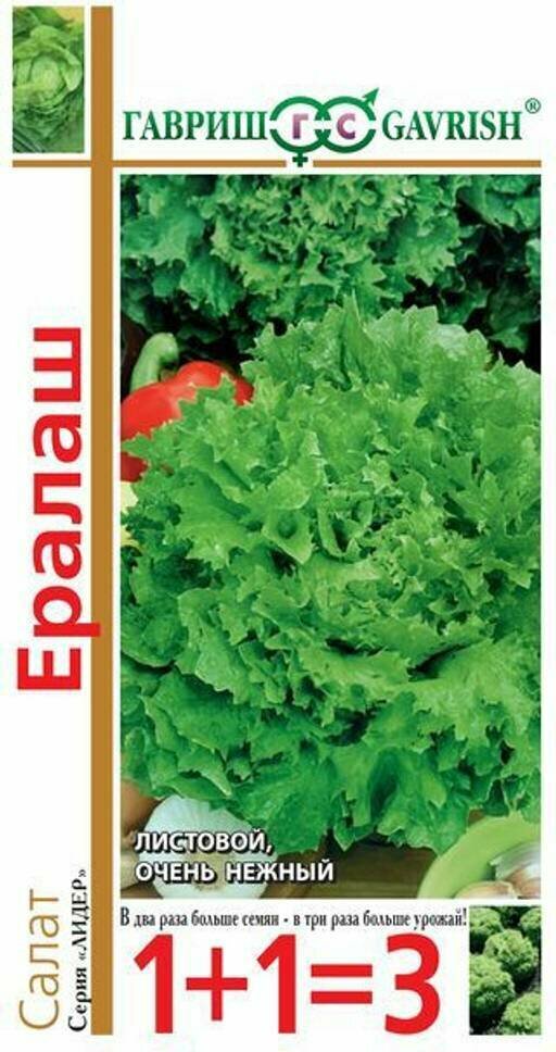 Семена Салат листовой Ералаш, Гавриш, 1 грамм, 1 пакет (зеленый)