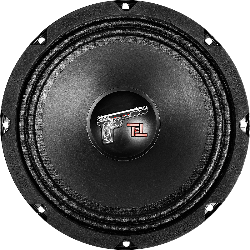 Автомобильная акустика урал TT 200.2