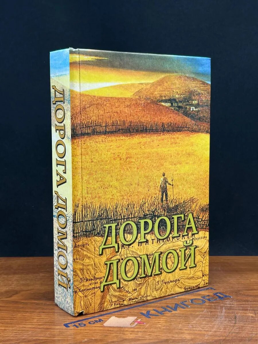 Книга. Дорога домой 2011 (2041056784443)