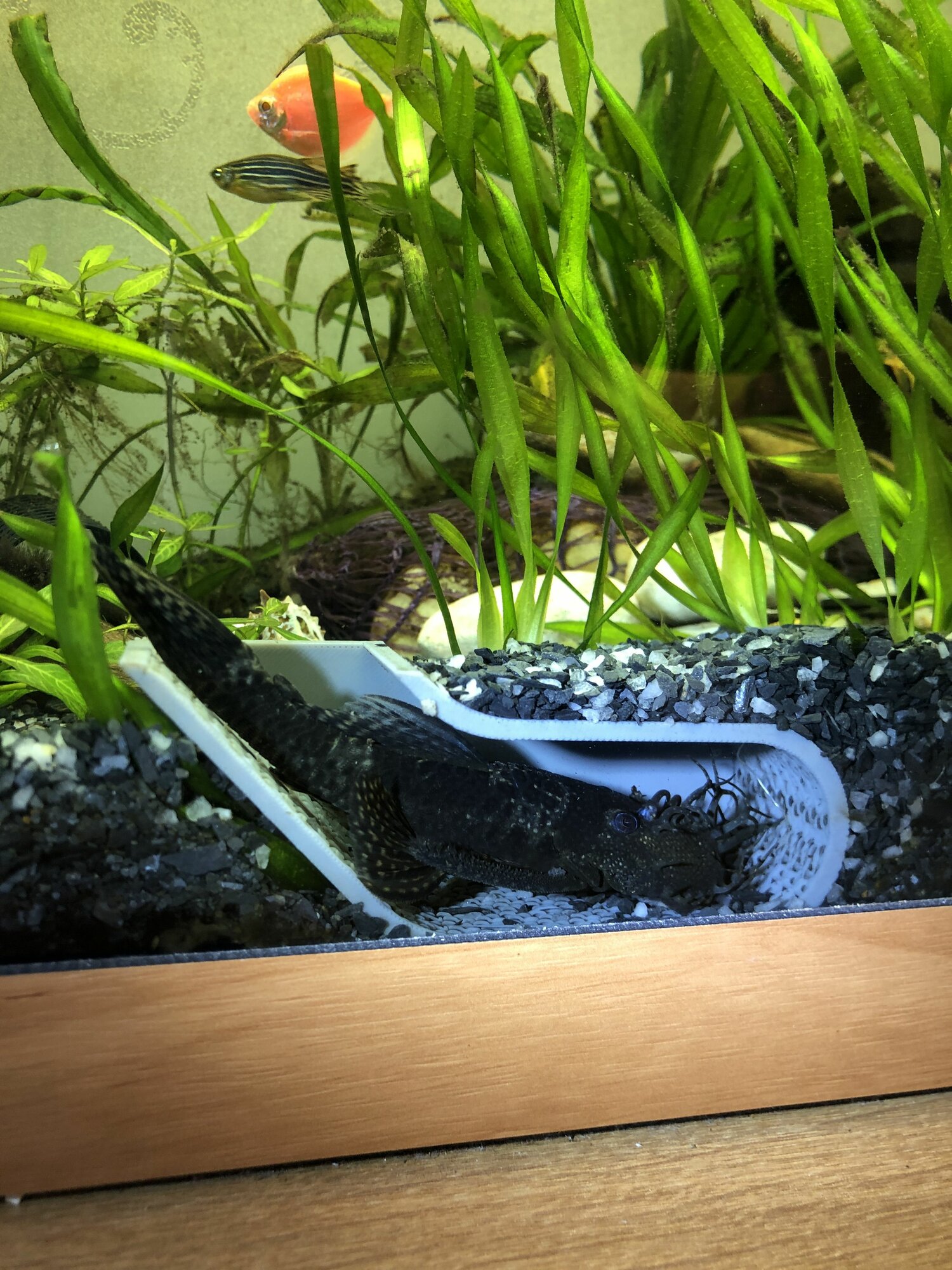 Домик для аквариума белый 11 см для сомов, креветок, улиток