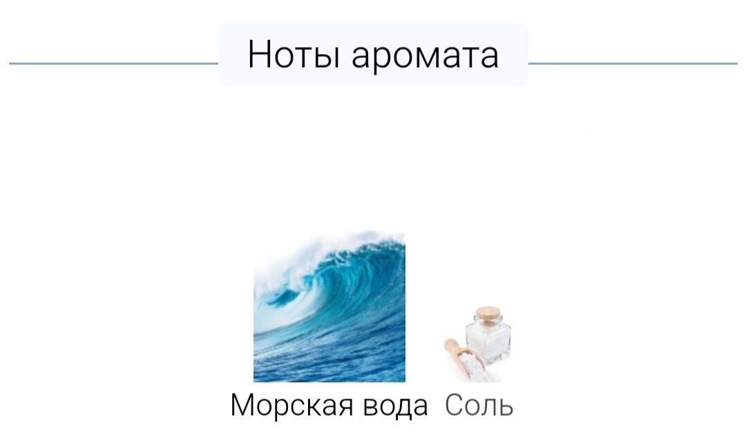 Духи ручной работы по мотивам 'Salt Air', для мужчин и женщин Lu Parfume — фото 1
