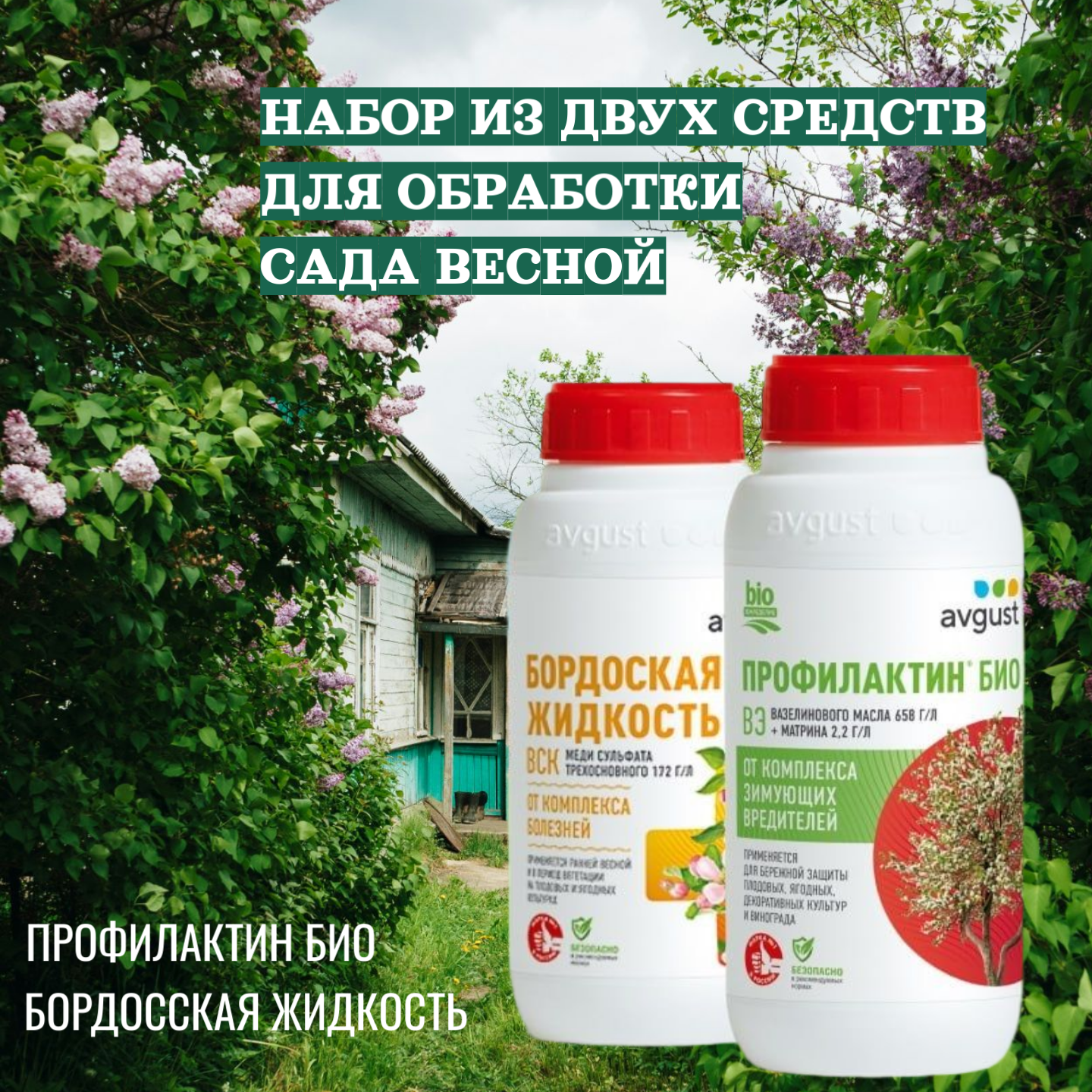 Набор средств Август "Профилактин", "Бордоская жидкость", от вредителей и болезней, 500мл, 2 шт.